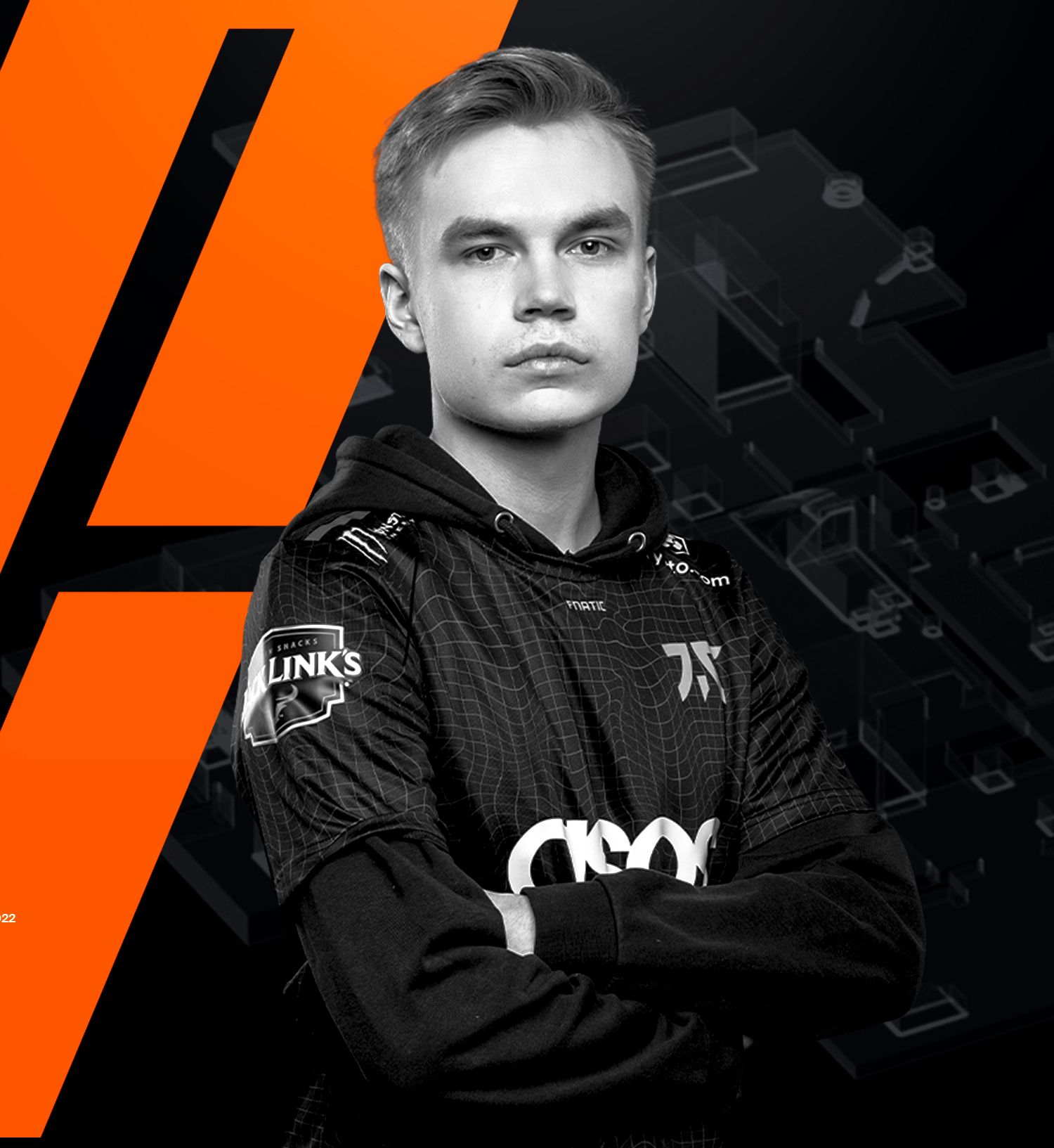 Leading Esports Performance | Fnatic