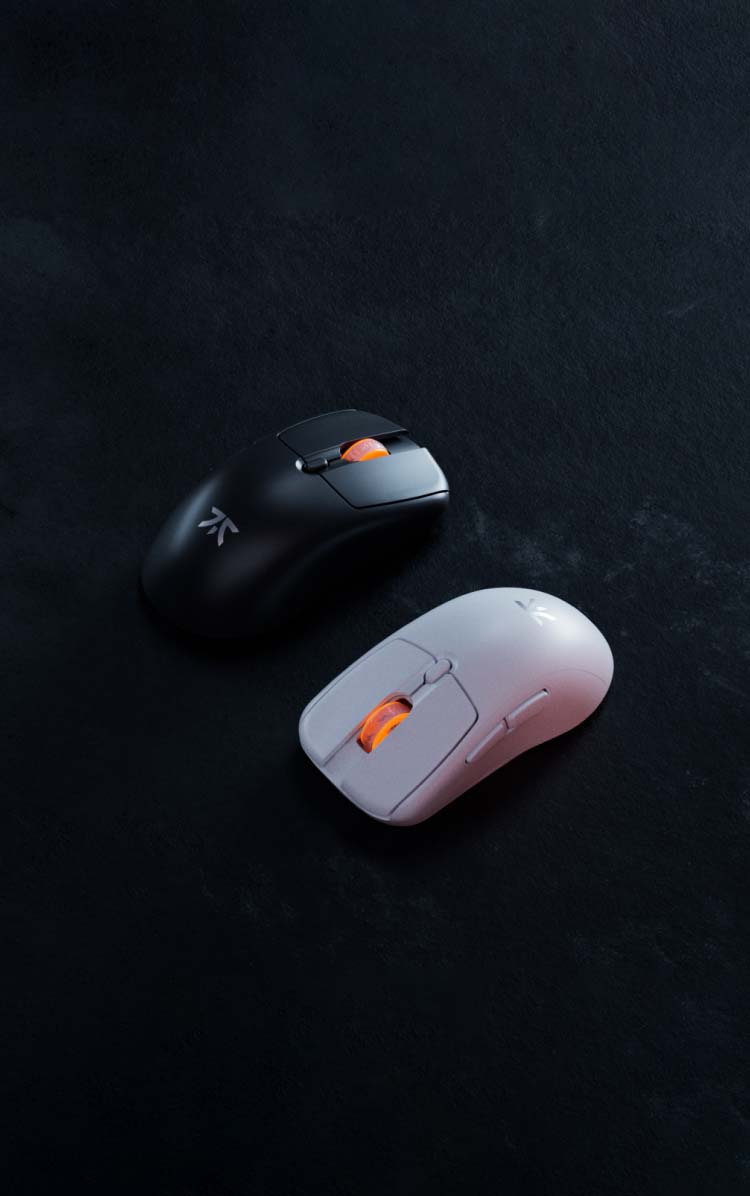 Leading Esports Performance | Fnatic