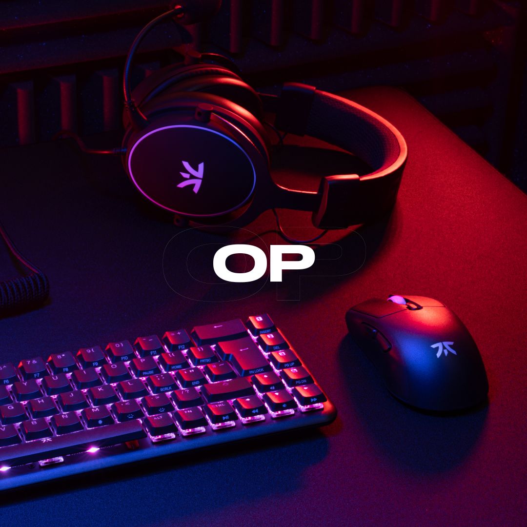 Leading Esports Performance | Fnatic